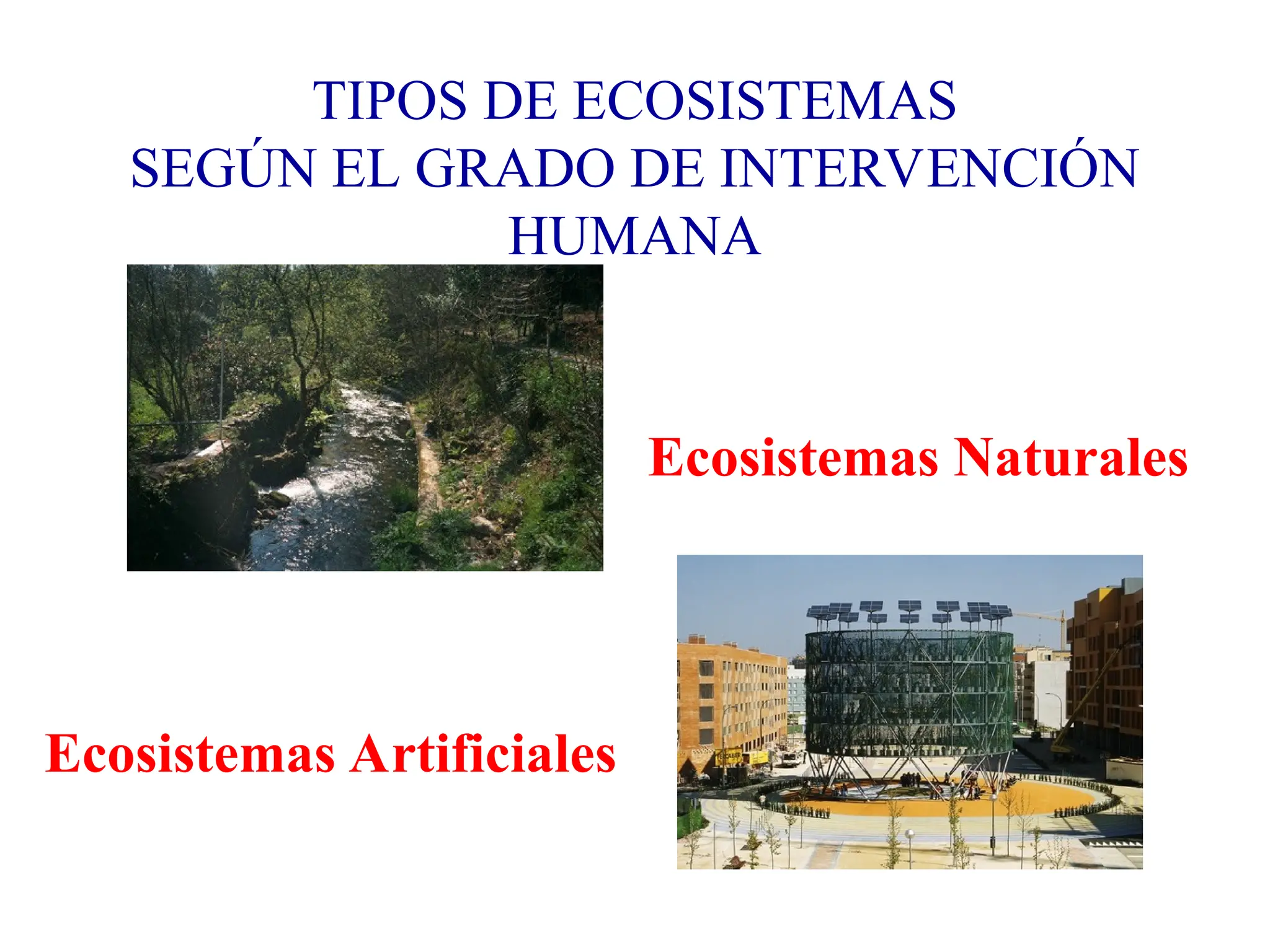 Ecosistemas y sus componentes basicos.ppt