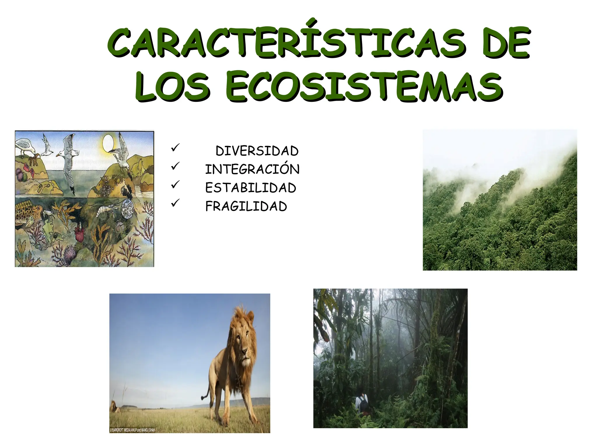 Ecosistemas y sus componentes basicos.ppt