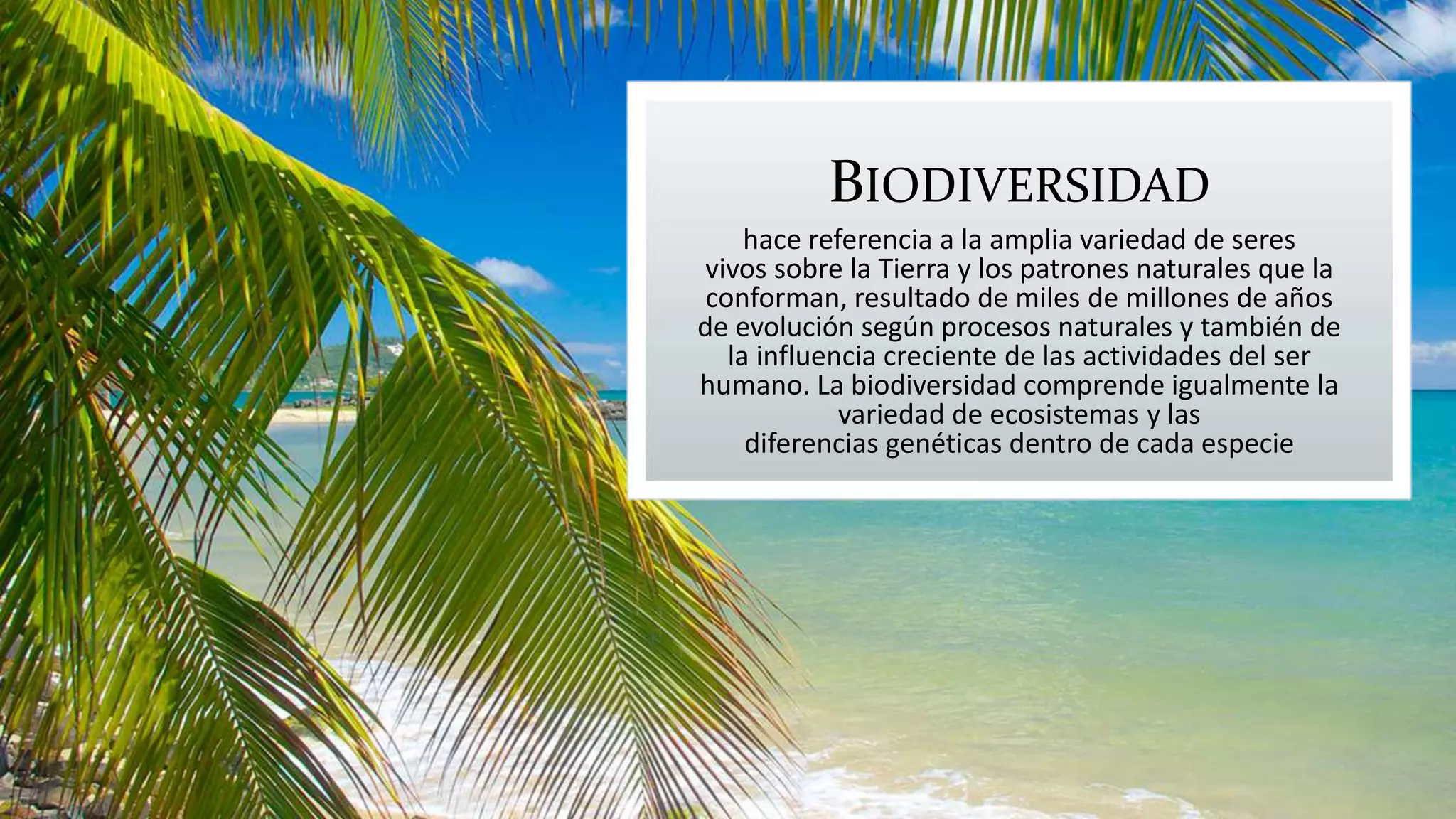 Ecosistemas y biodiversidad | PPTX