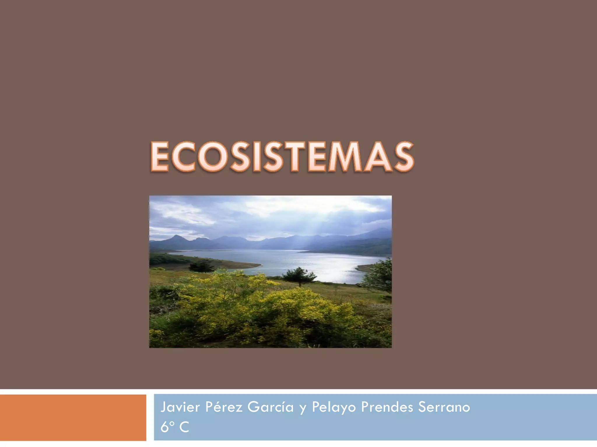 Ecosistemas Y Biomas | PPT