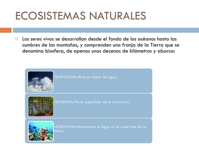 Ecosistemas Y Biomas | PPT