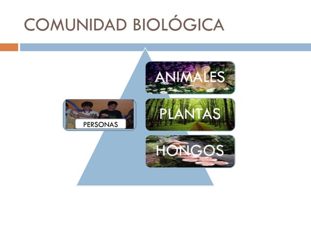 Ecosistemas Y Biomas | PPT