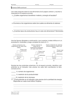 Redes y pirámides tróficas | PDF