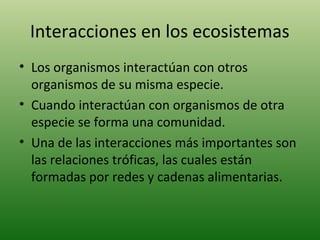Ecosistemas y redes alimentarias | PPT