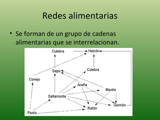 Ecosistemas y redes alimentarias | PPT