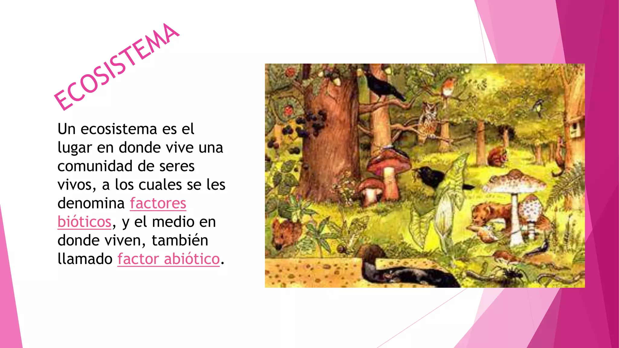 Ecosistemas y su funcionamiento | PPTX