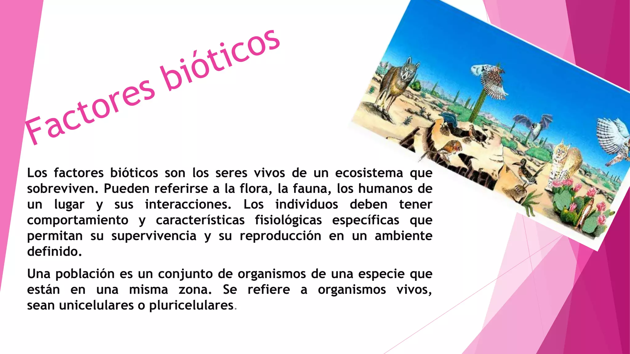 Ecosistemas y su funcionamiento | PPTX