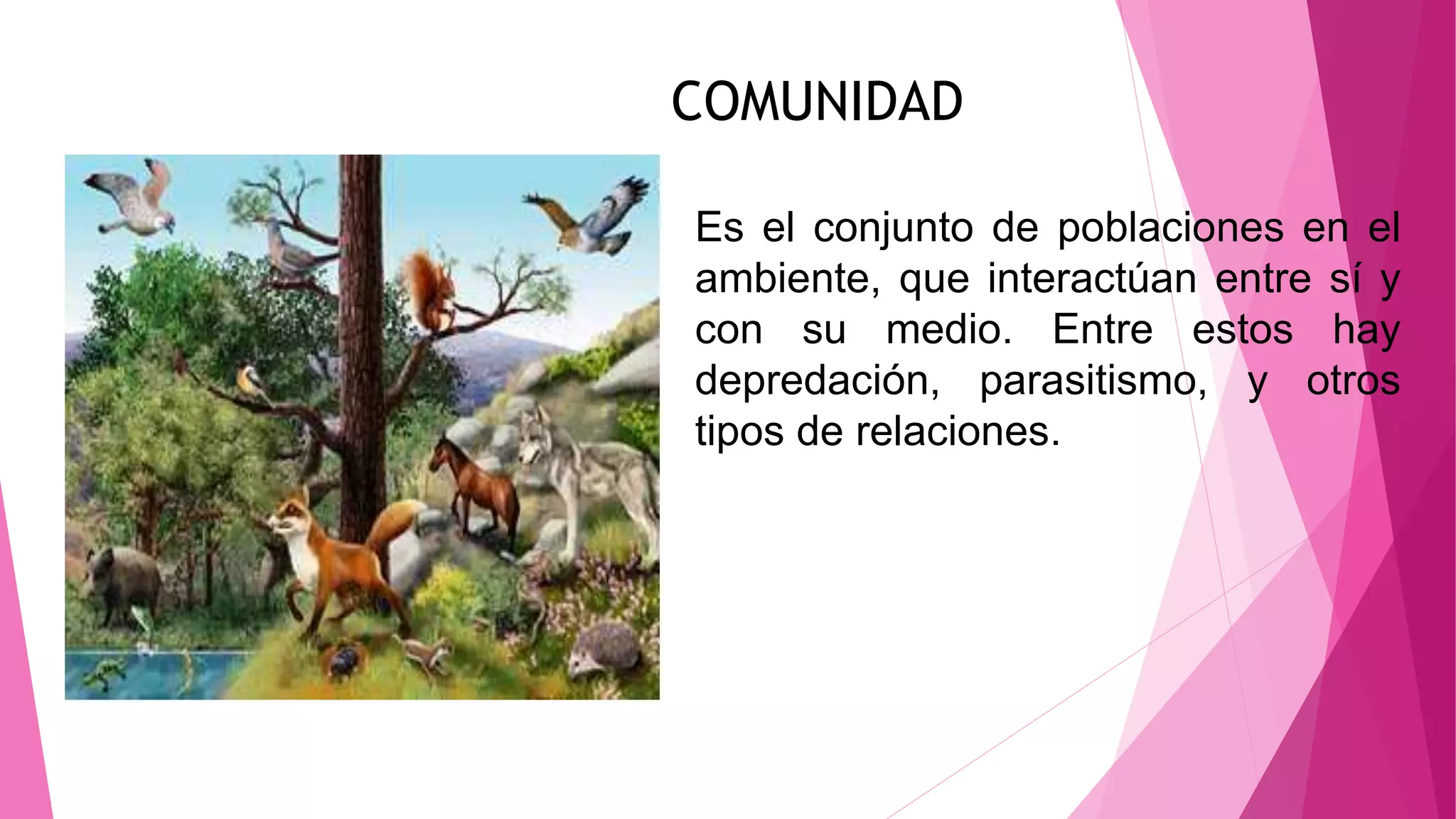 Ecosistemas y su funcionamiento | PPTX