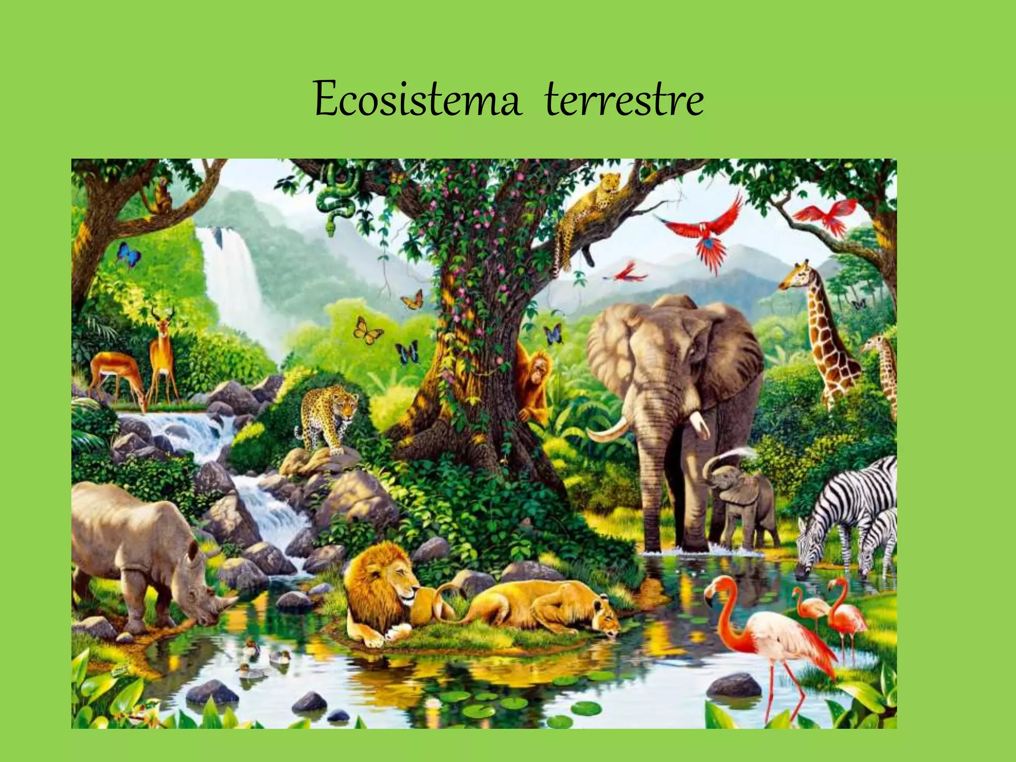 Ecosistema Terrestre Pptx