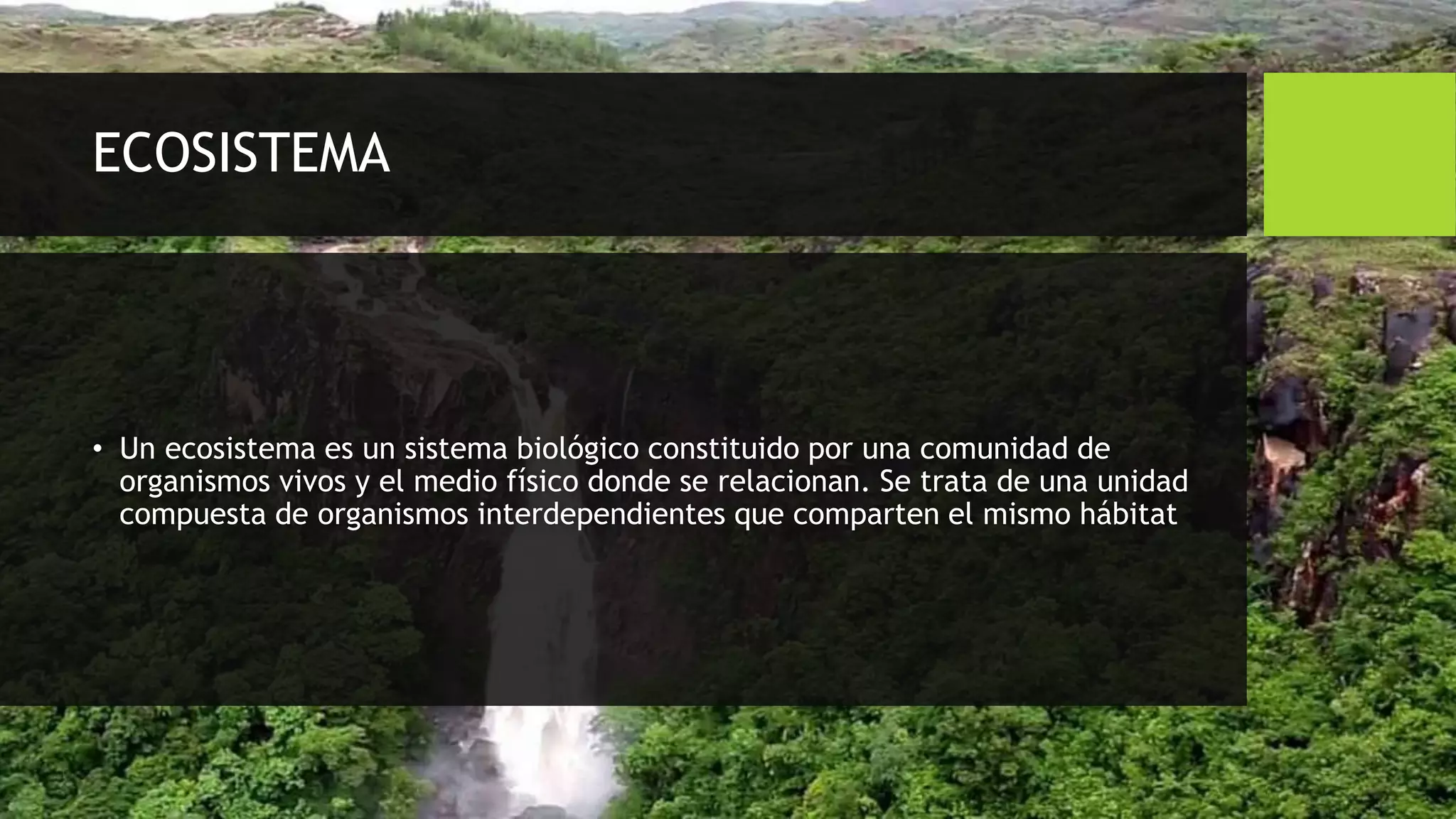 Ecosistema y biodiversidad | PPTX | Science