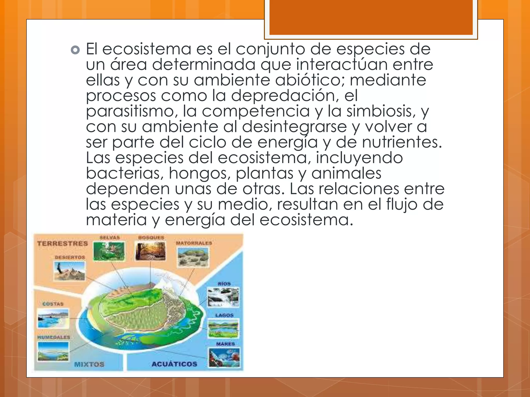 Ecosistema y los impactos que ha tenido | PPT