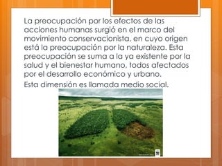 Ecosistema y los impactos que ha tenido | PPTX