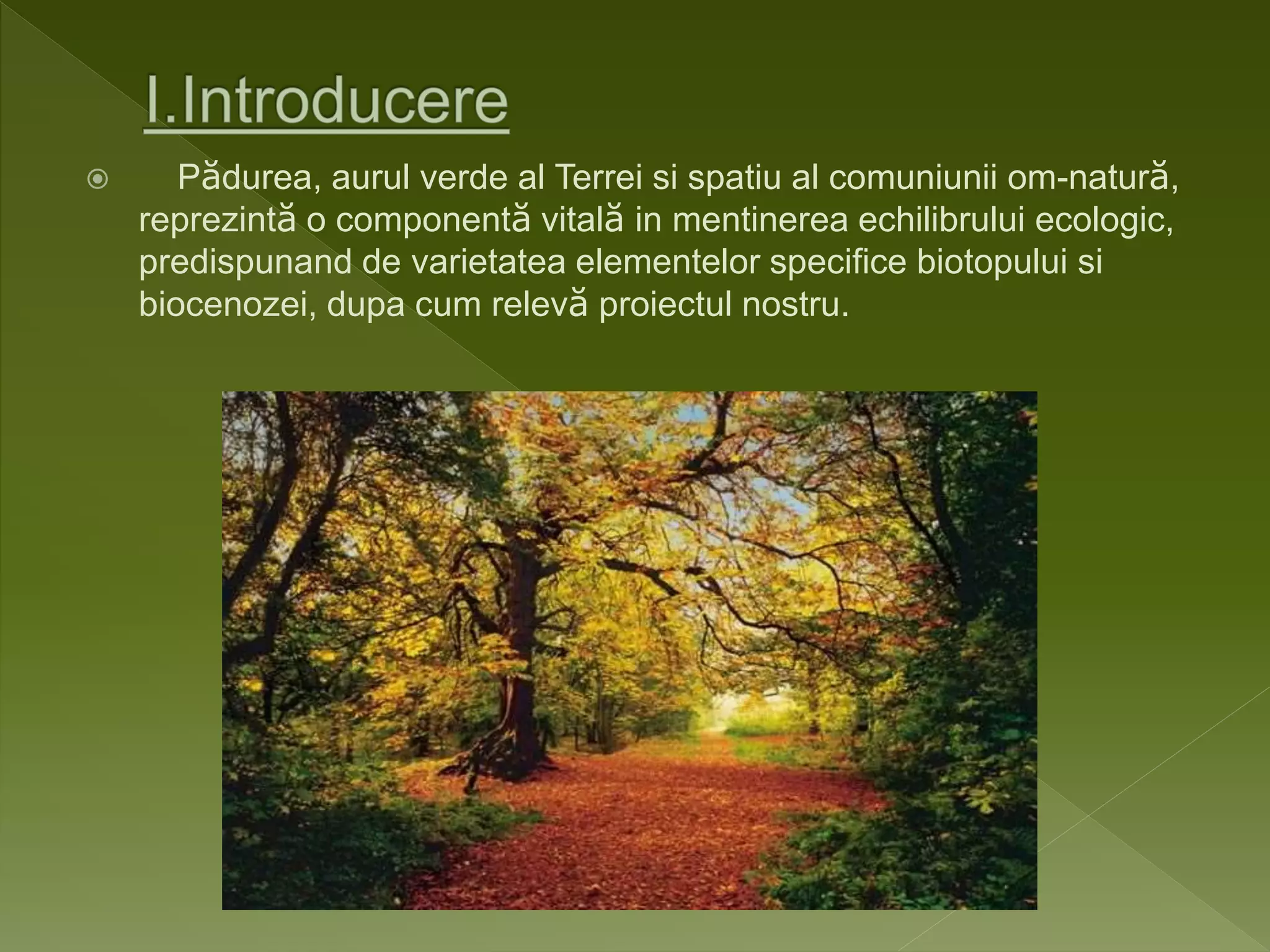 Ecosistemul unei paduri de foioase | PPTX