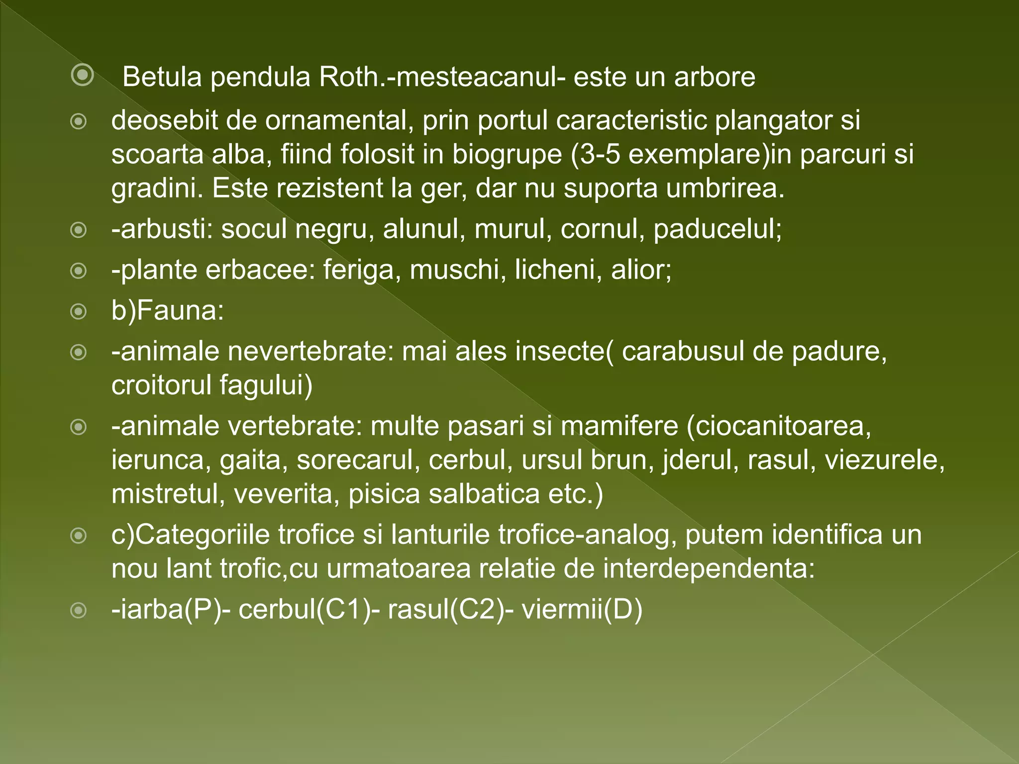 Ecosistemul unei paduri de foioase | PPTX