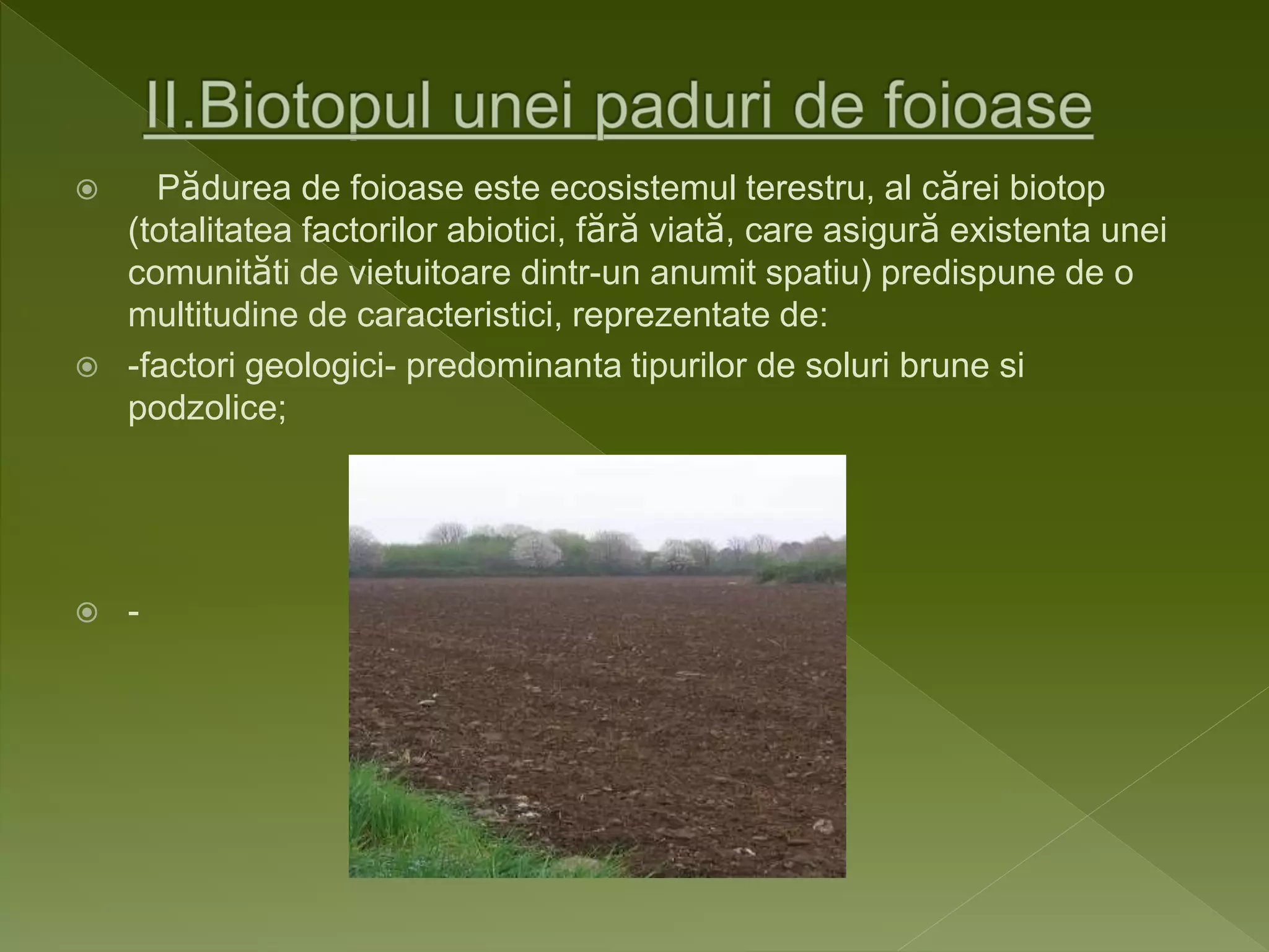 Ecosistemul unei paduri de foioase | PPTX