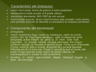 Ecosistemul unei paduri de foioase | PPTX