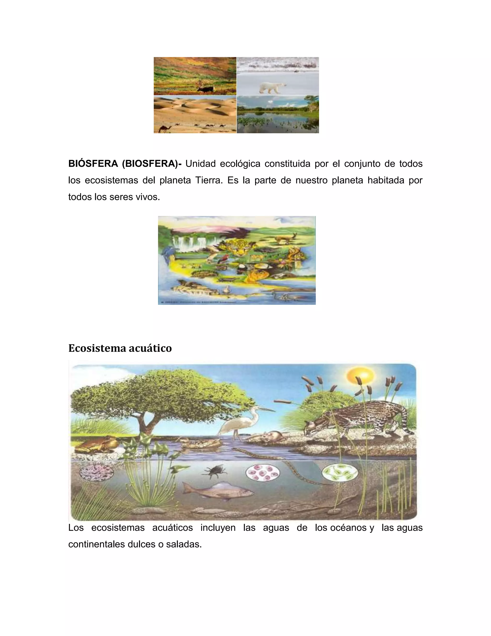 Ecositema penultima unidad | PDF