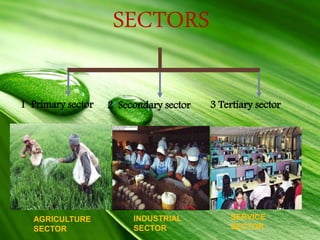 Ecospark ppt1 agri-final | PPTX