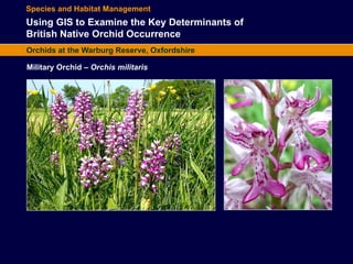 Conservation Strategy Mapping: Terrestrial Orchids | PPT