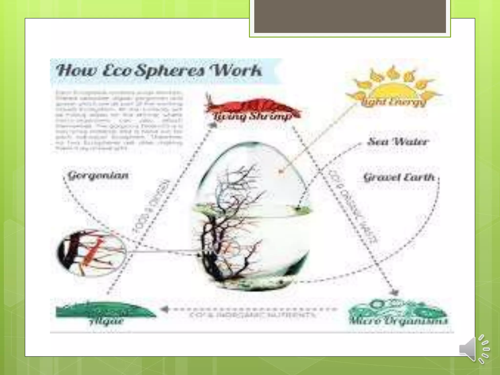 Ecosphere(biosphere) | PPTX
