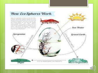 Ecosphere(biosphere) | PPTX
