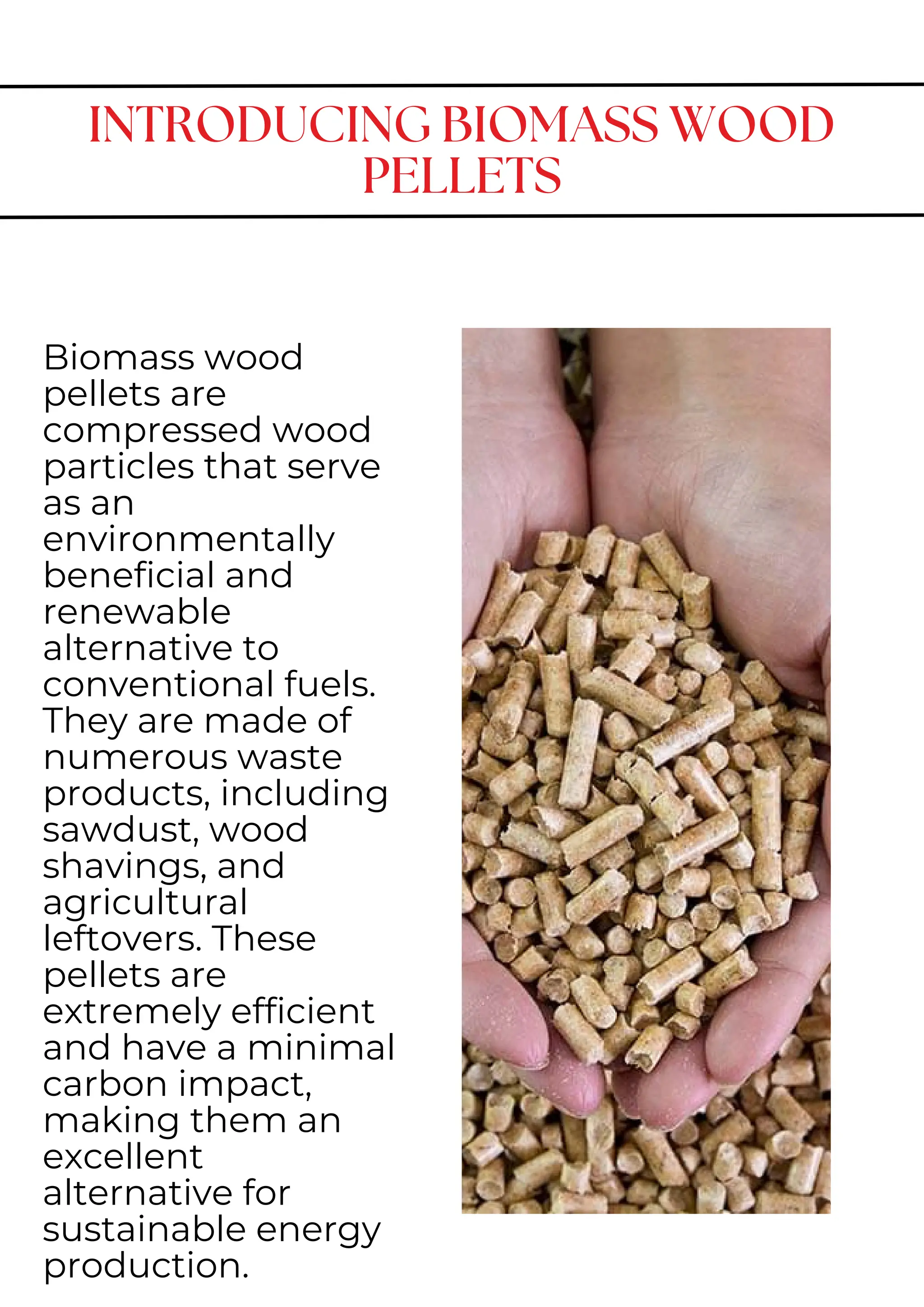 Ecostan Biofuels is transforming renewable power using biomass wood pellets. .pdf