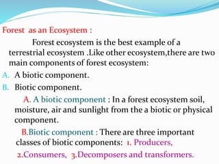 Ecosyestem structure and function | PPTX