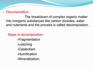 Ecosyestem structure and function | PPTX