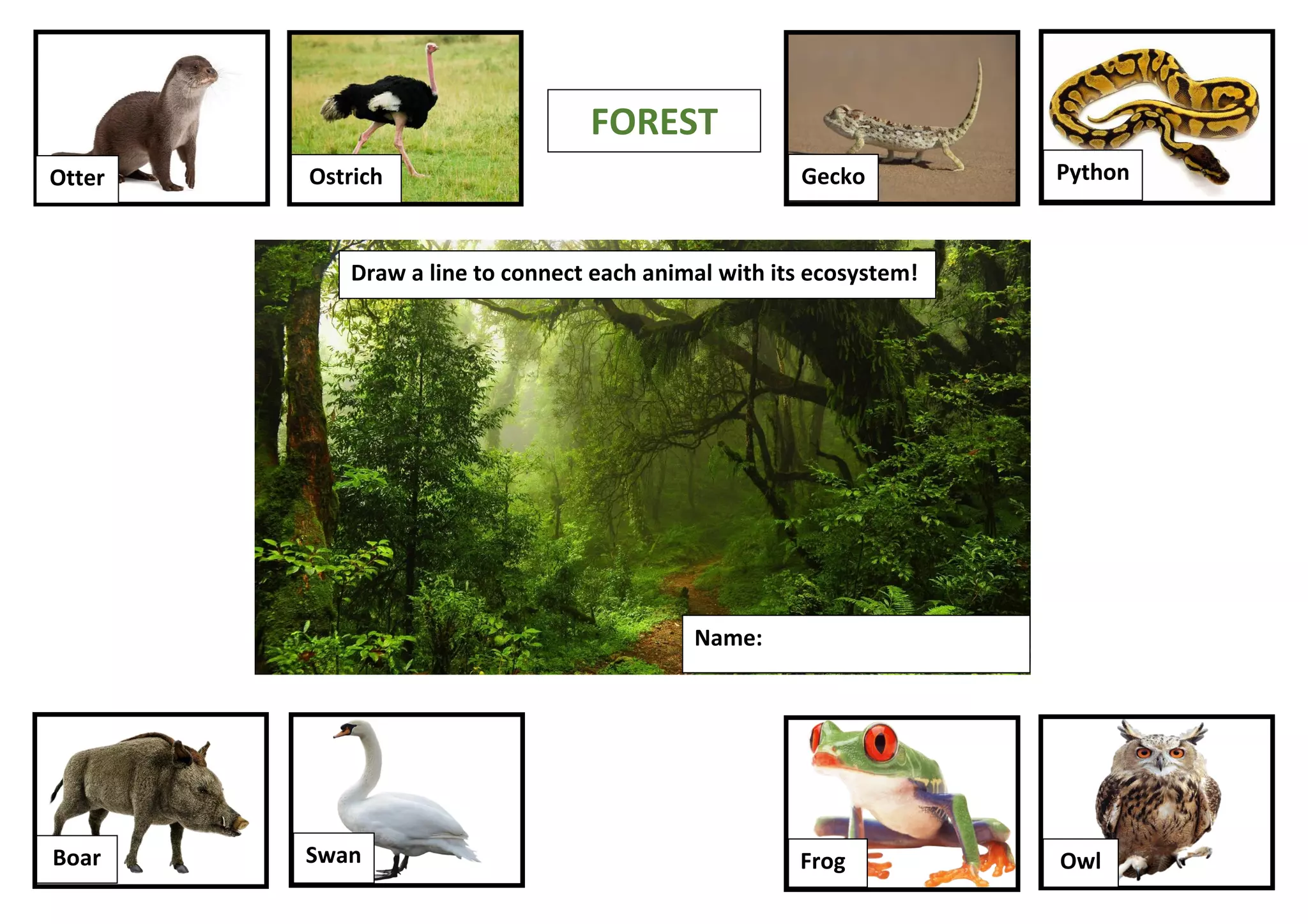 ecosysem worksheet fix Garden.pdf