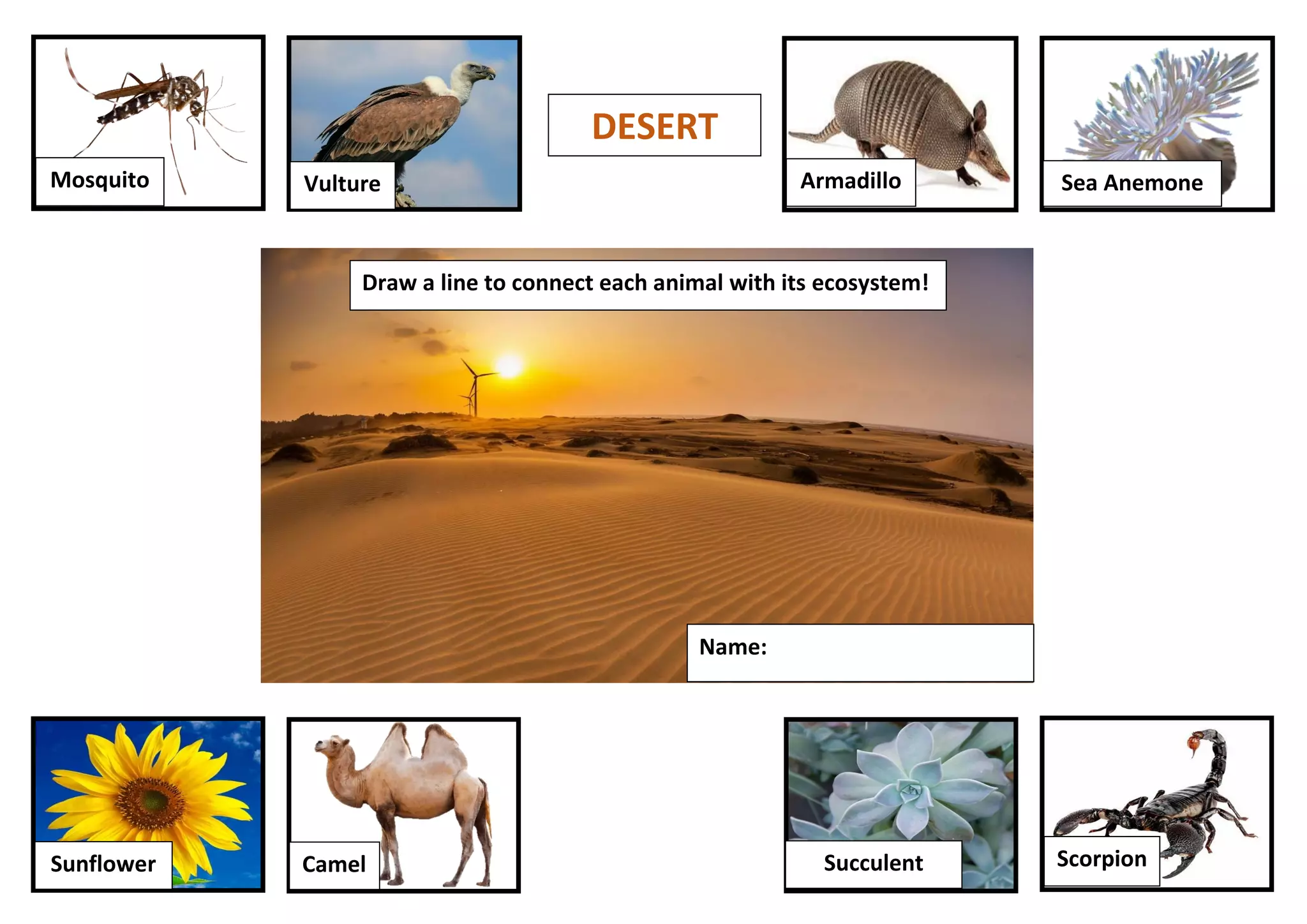 ecosysem worksheet fix Garden.pdf
