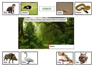 ecosysem worksheet fix Garden.pdf