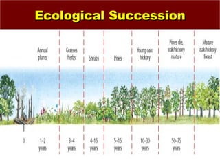 Ecosystem | PPT