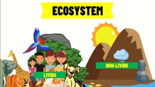 ECOSYSTEM-1.pdf