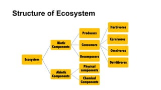 ECOSYSTEM-1.pdf