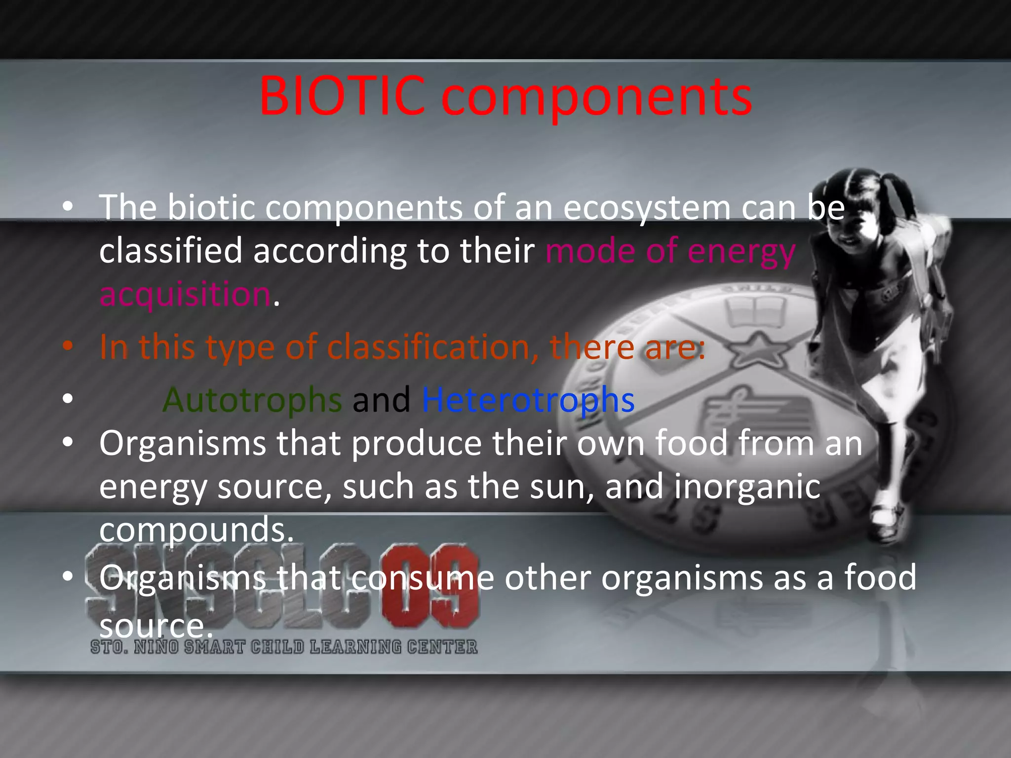 Ecosystem | PPT