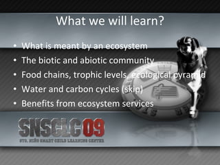 Ecosystem | PPT