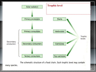 Ecosystem | PPT