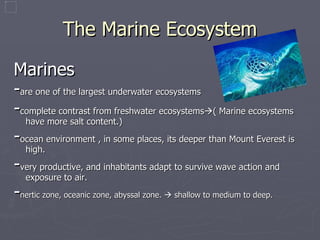 Ecosystem | PPT
