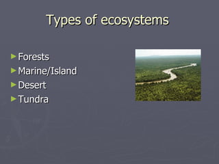 Ecosystem | PPT