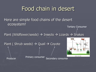 Ecosystem | PPT