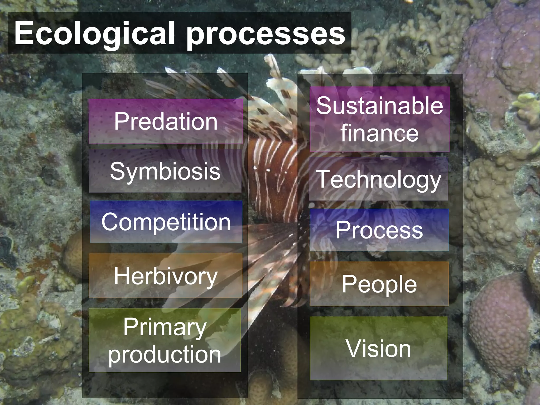 Ecosystem thinking for organizations | PDF