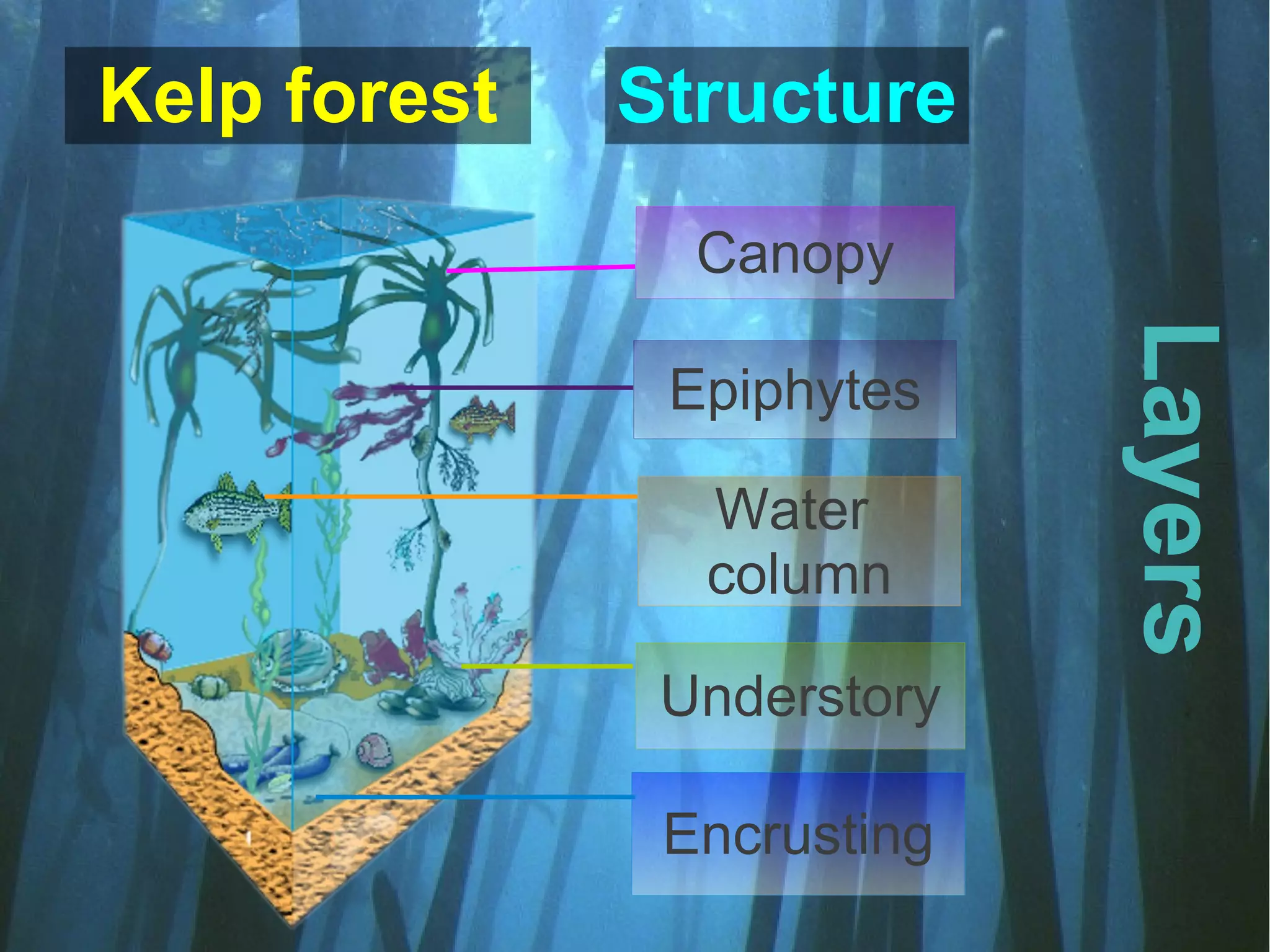 Ecosystem thinking for organizations | PDF