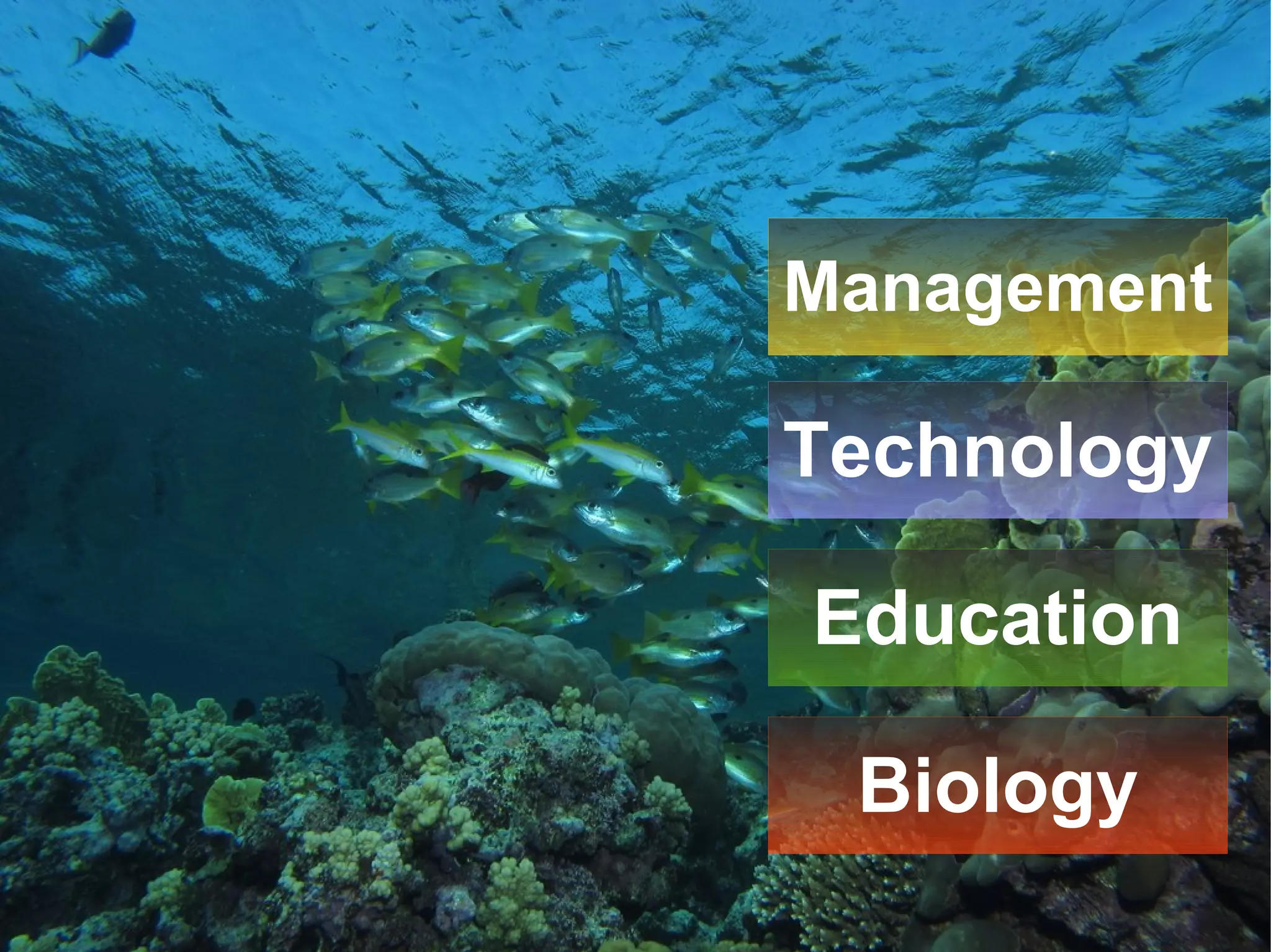 Ecosystem thinking for organizations | PDF