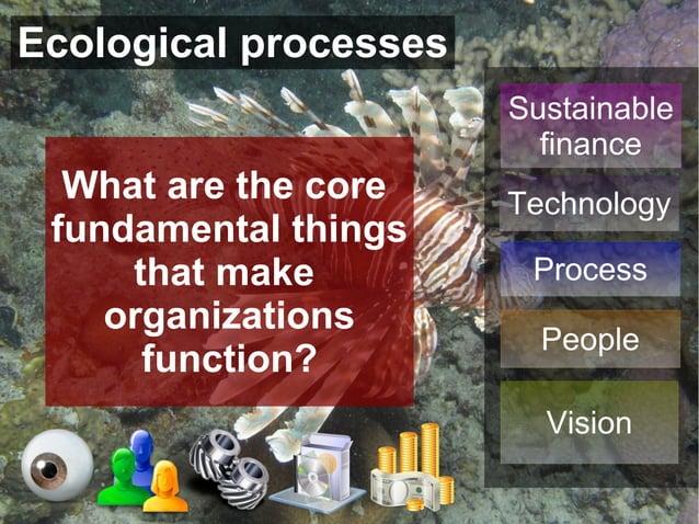 Ecosystem thinking for organizations | PDF | Biological Sciences | Science