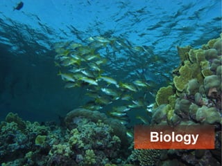 Ecosystem thinking for organizations | PDF