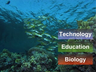 Ecosystem thinking for organizations | PDF