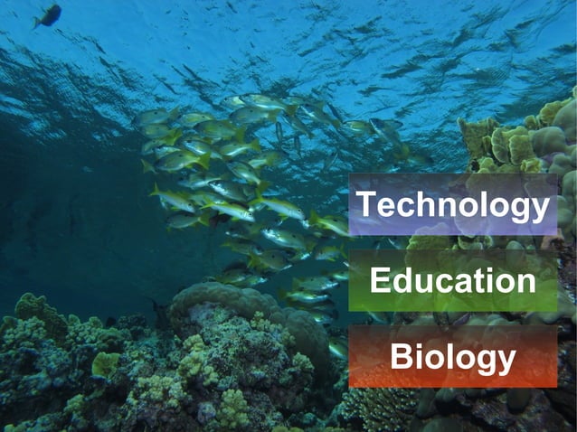 Ecosystem thinking for organizations | PDF | Biological Sciences | Science