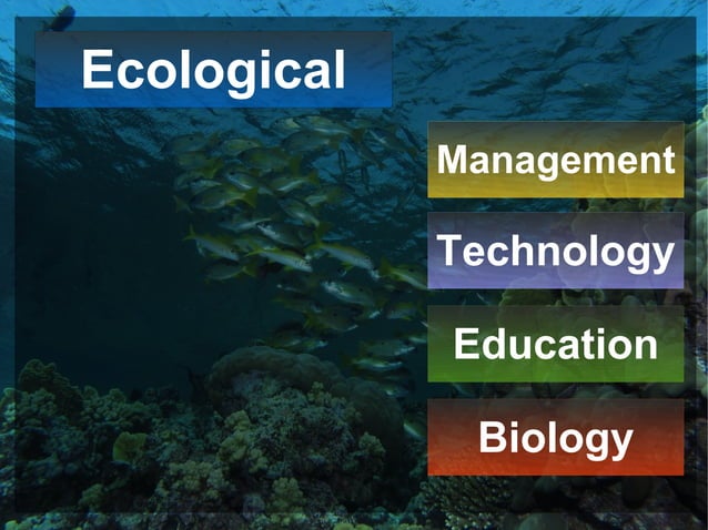 Ecosystem thinking for organizations | PDF | Biological Sciences | Science