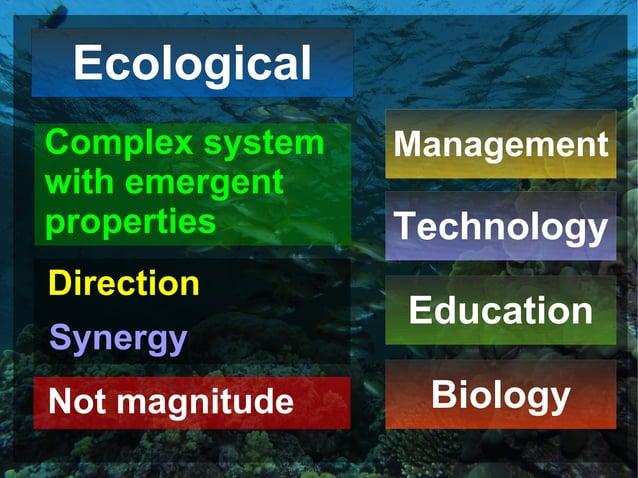 Ecosystem thinking for organizations | PDF | Biological Sciences | Science