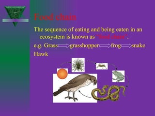 Ecosystem | PPT